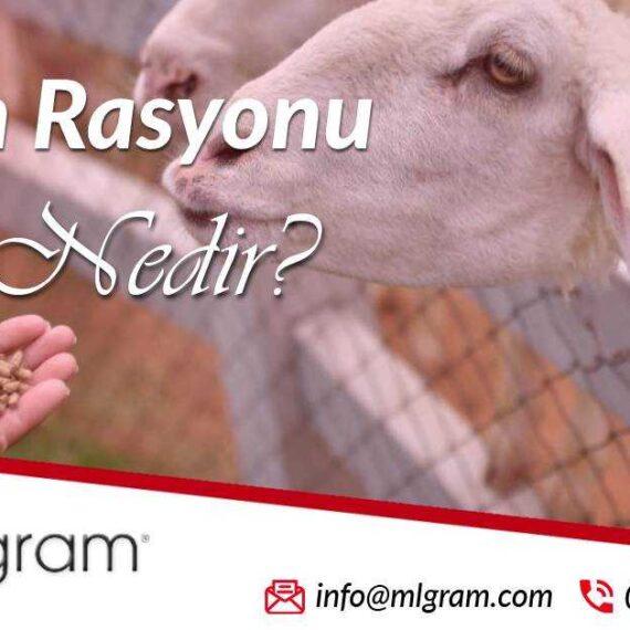 Rasyon Nedir? - Rasyon Nasıl Hazırlanır?